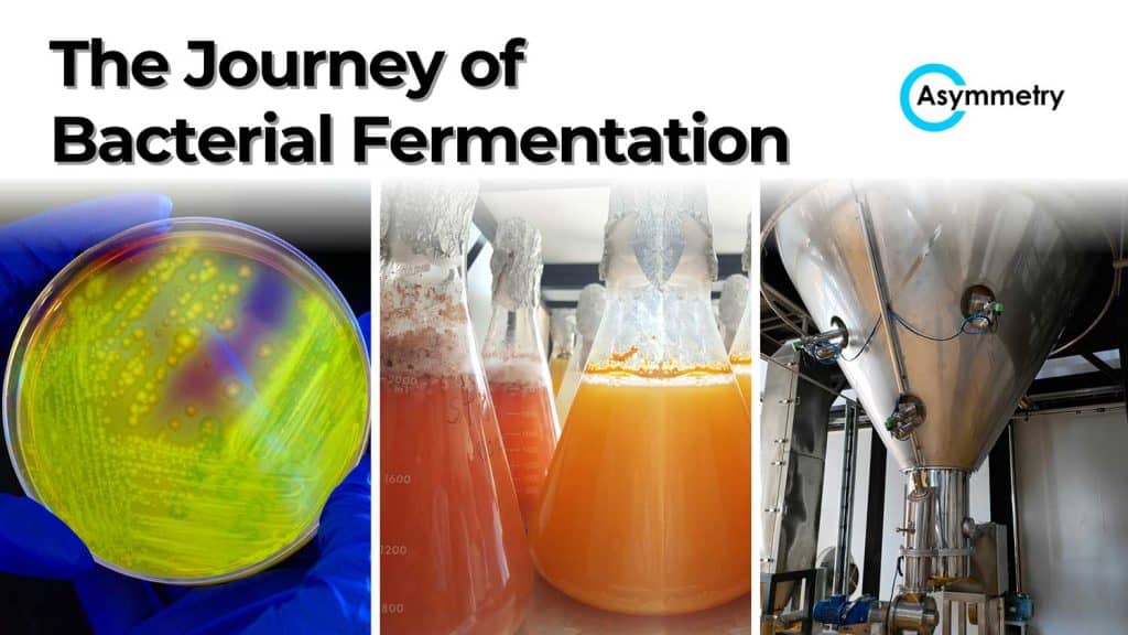 The Journey of Bacterial Fermentation - Asymmetry Inc